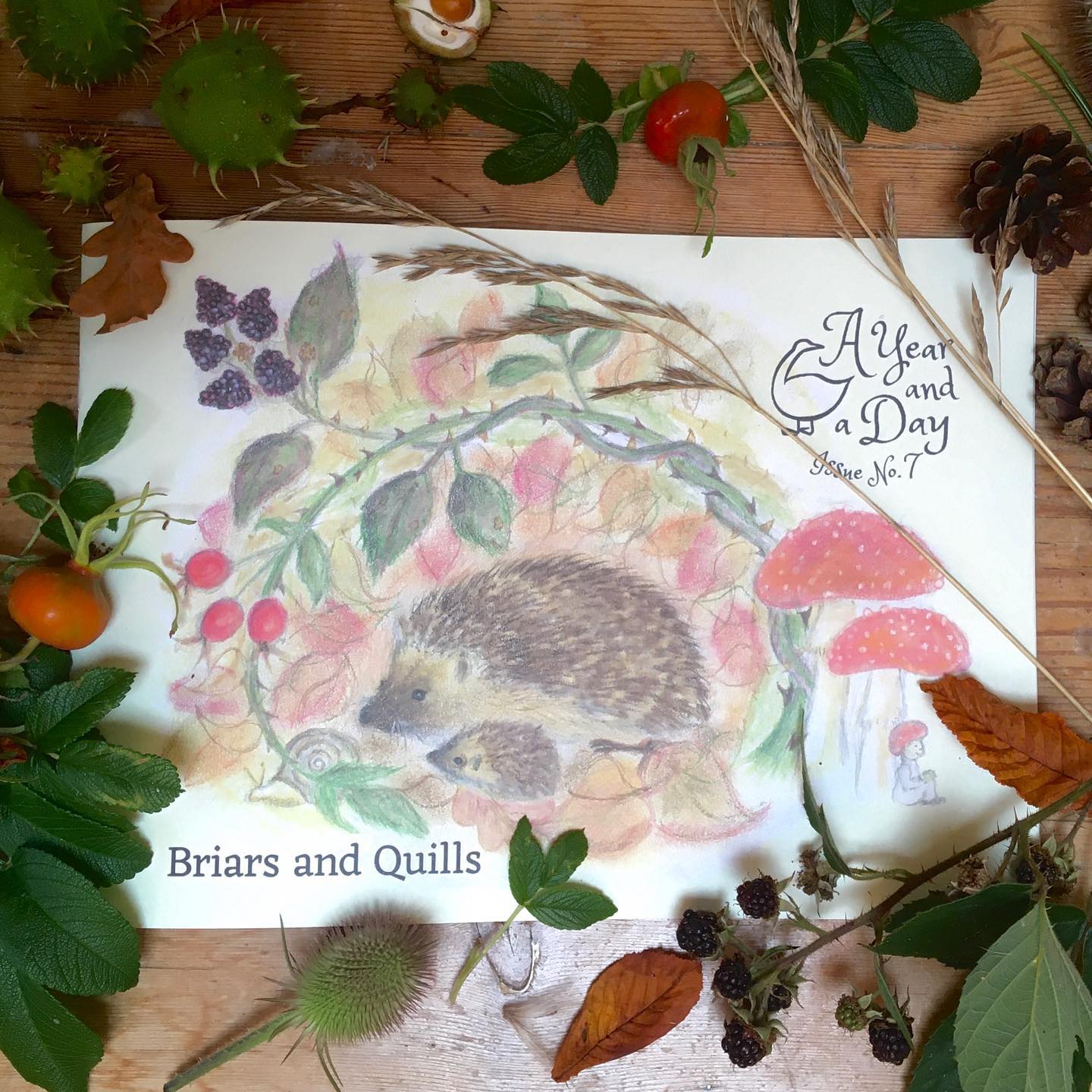 A Year and a Day, Issue 7: Briars and Quills – Nest
