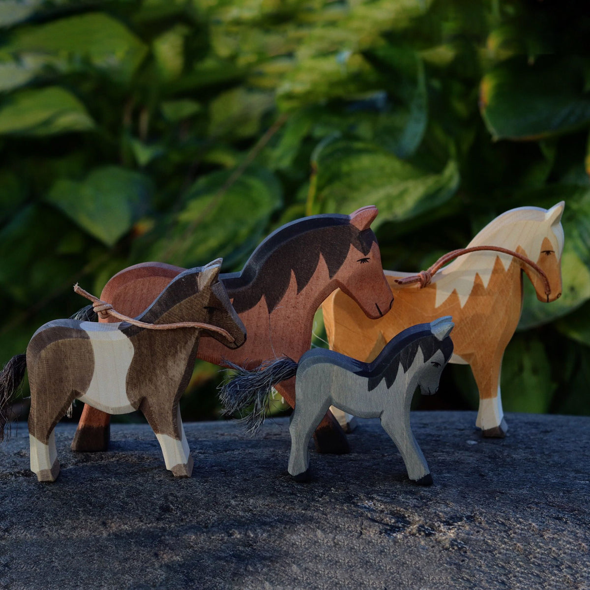 Ostheimer pony – Nest